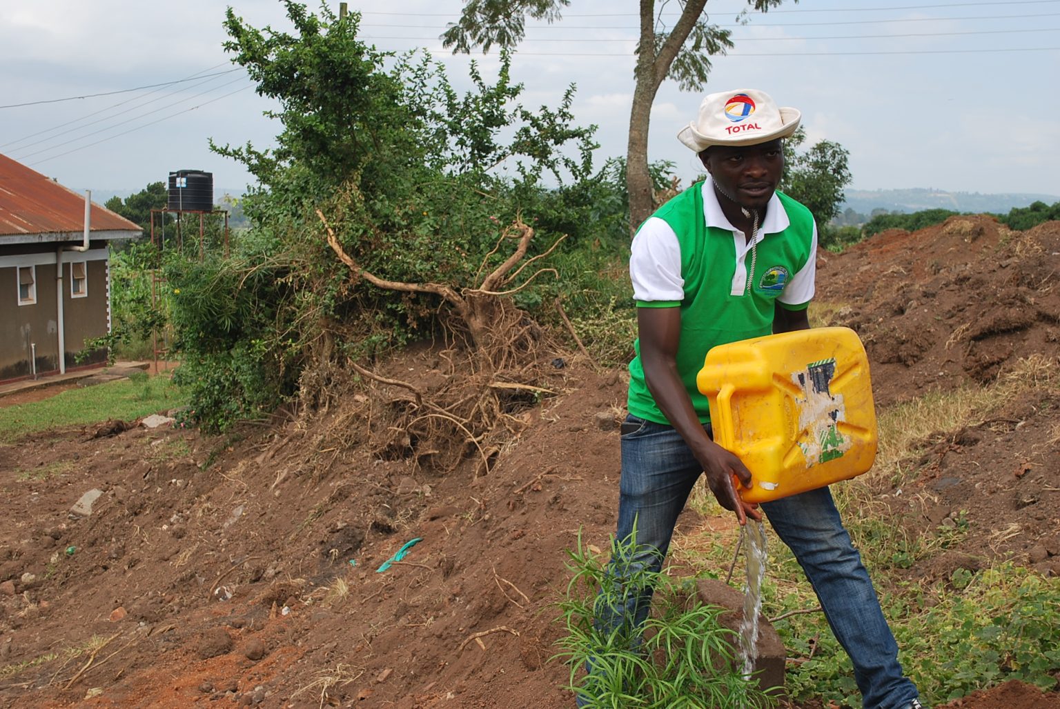 International Tree Planting Day - Vice Versa Global
