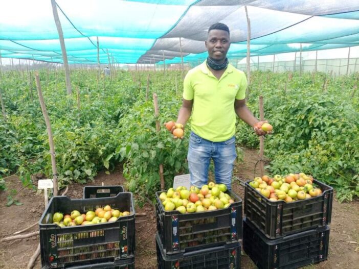 Bringing wealth to Africa’s smallholder farmers digitally. - Vice Versa ...